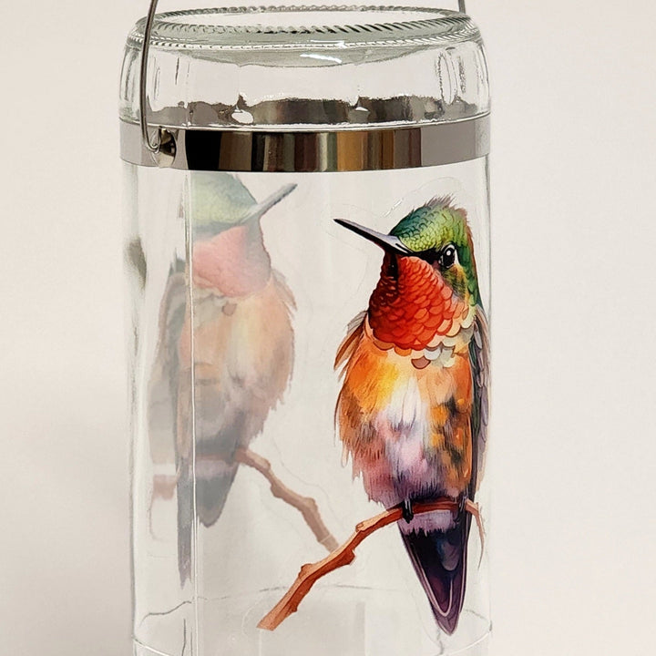 HummViewer: The Revolutionary Wearable Hummingbird Feeder