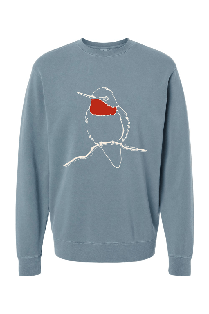 HummViewer: The Revolutionary Wearable Hummingbird Feeder
