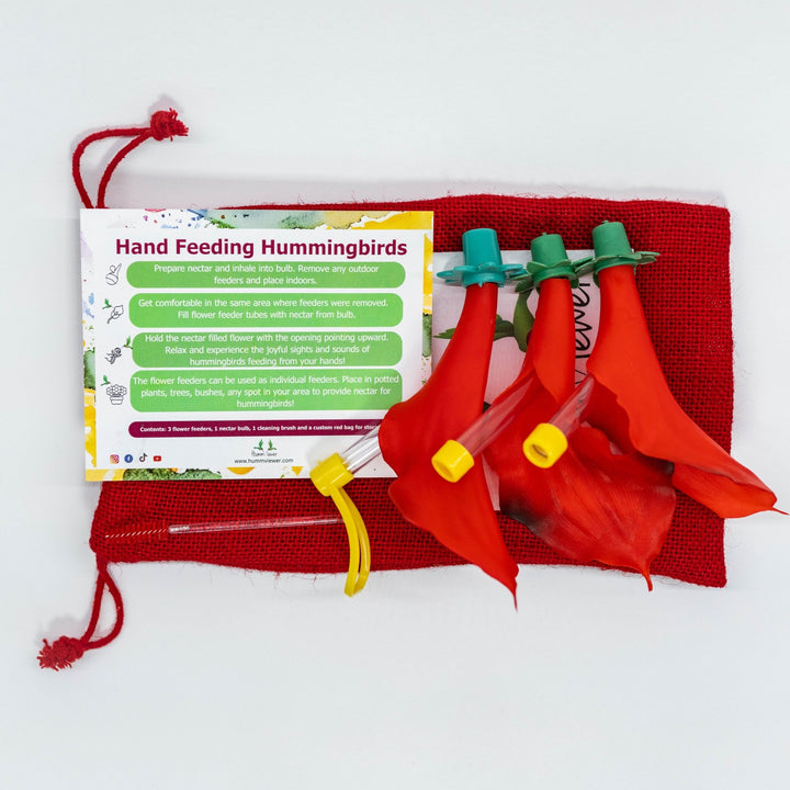 HummViewer: The Revolutionary Wearable Hummingbird Feeder